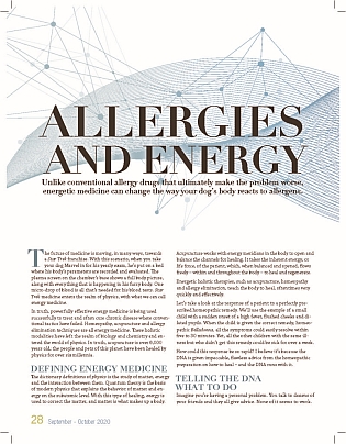 Magazine Articles by Dr. Khalsa - Dr. Deva Khalsa - Holistic Veteranarian