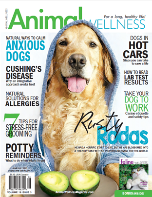 Natural Help for the Anxious Dog - Dr. Deva Khalsa - Holistic Veteranarian