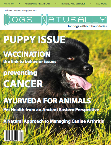 Magazine Articles by Dr. Khalsa - Dr. Deva Khalsa - Holistic Veteranarian