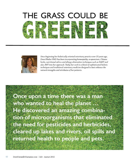 The Grass Could be Greener - Dr. Deva Khalsa - Holistic Veteranarian